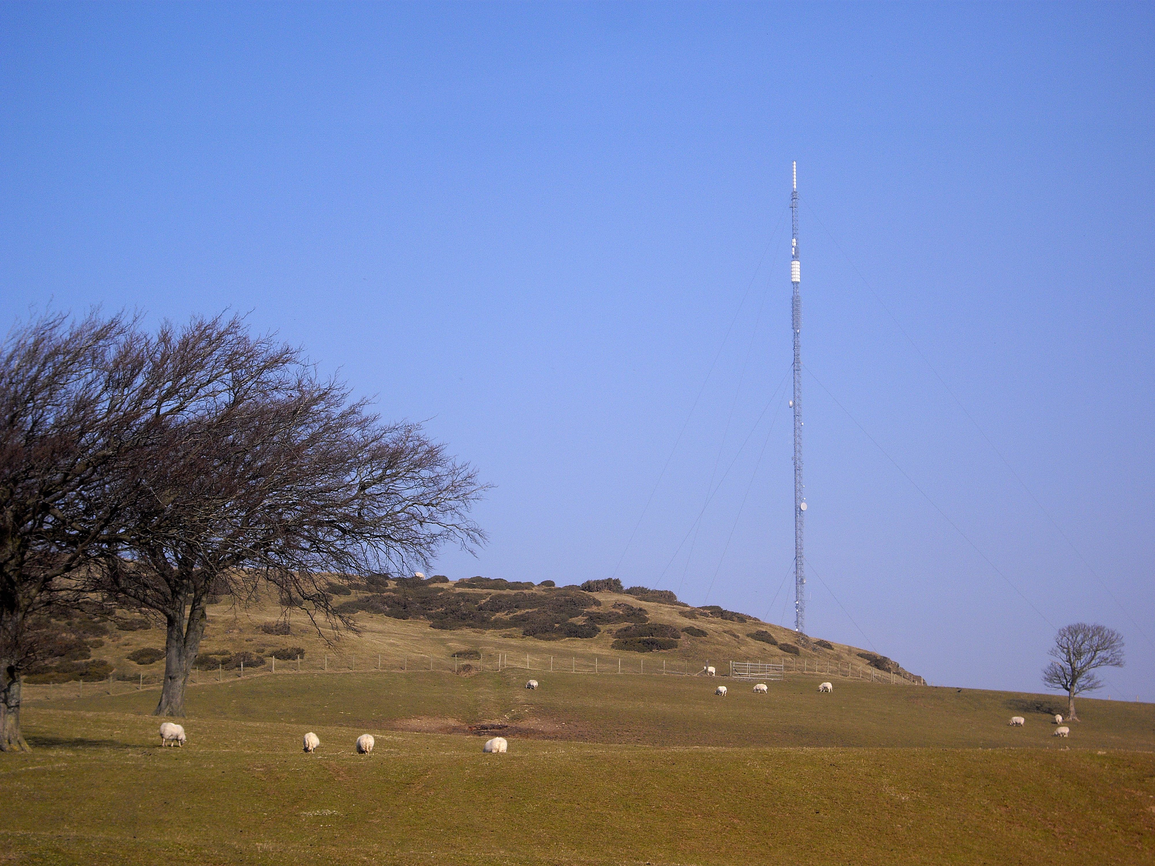 87173593 – UKFM Group (Western)