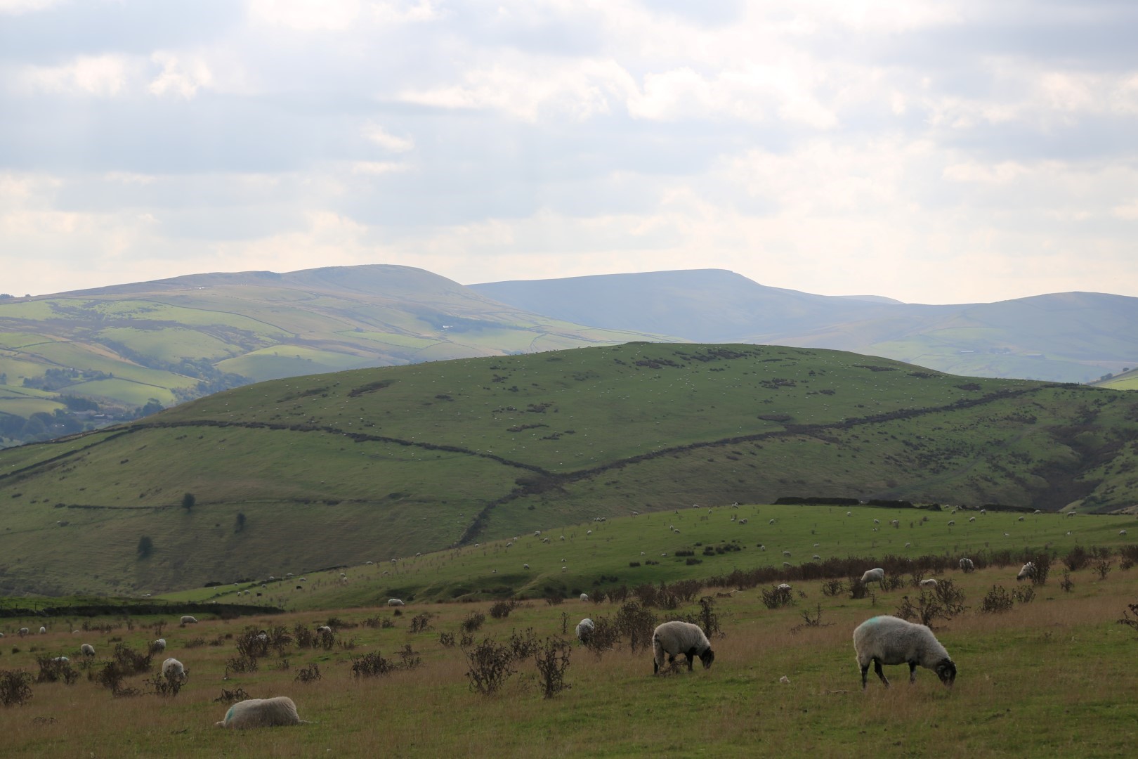 view-24 – UKFM Group (Western)