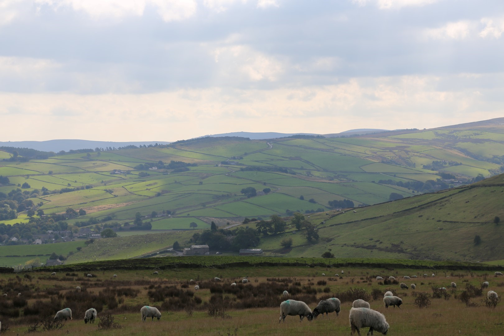 view-25 – UKFM Group (Western)